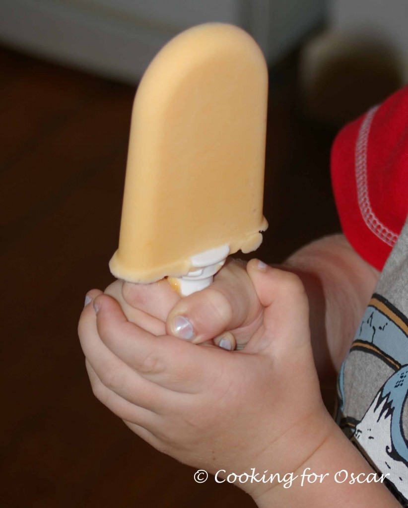 ice cream / icy poles – Page 4 – Cooking for Oscar